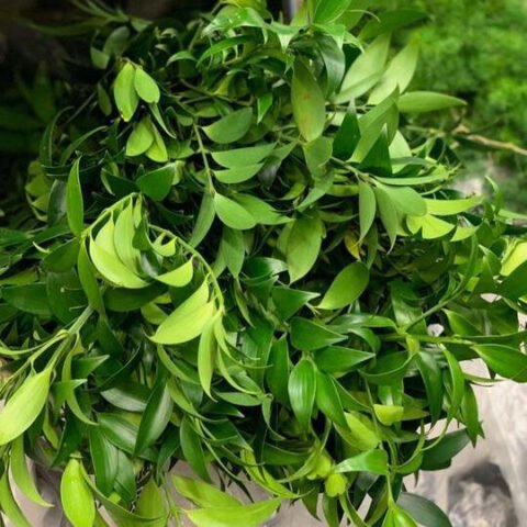 Nagi - Flower Delivery - You Floral