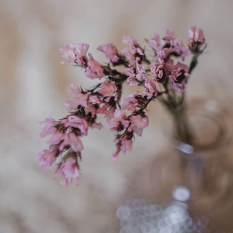 Pink Statice - 10 stem bu - Flower Delivery - You Floral